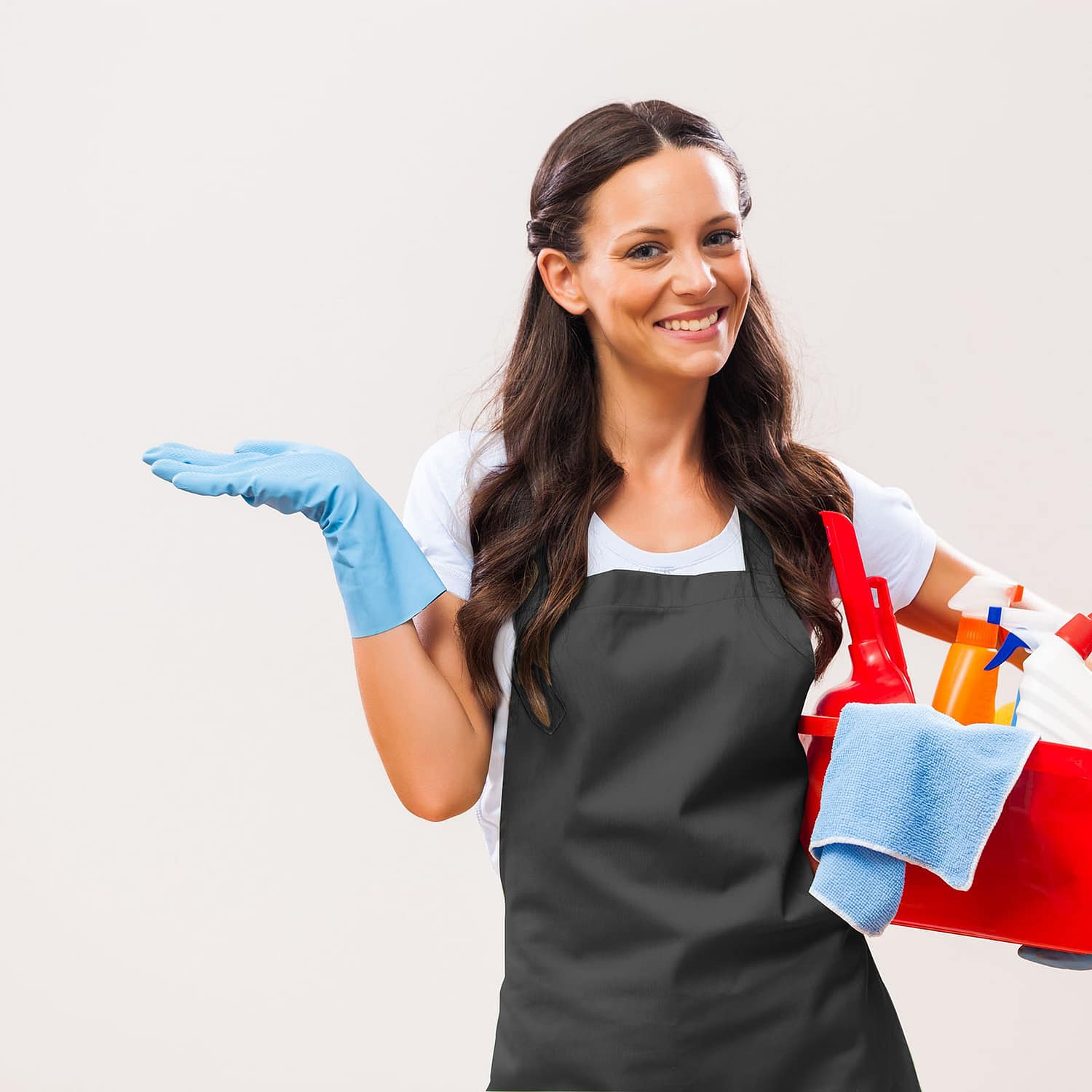 Top Rated House Cleaning Services In Northwest Chicago